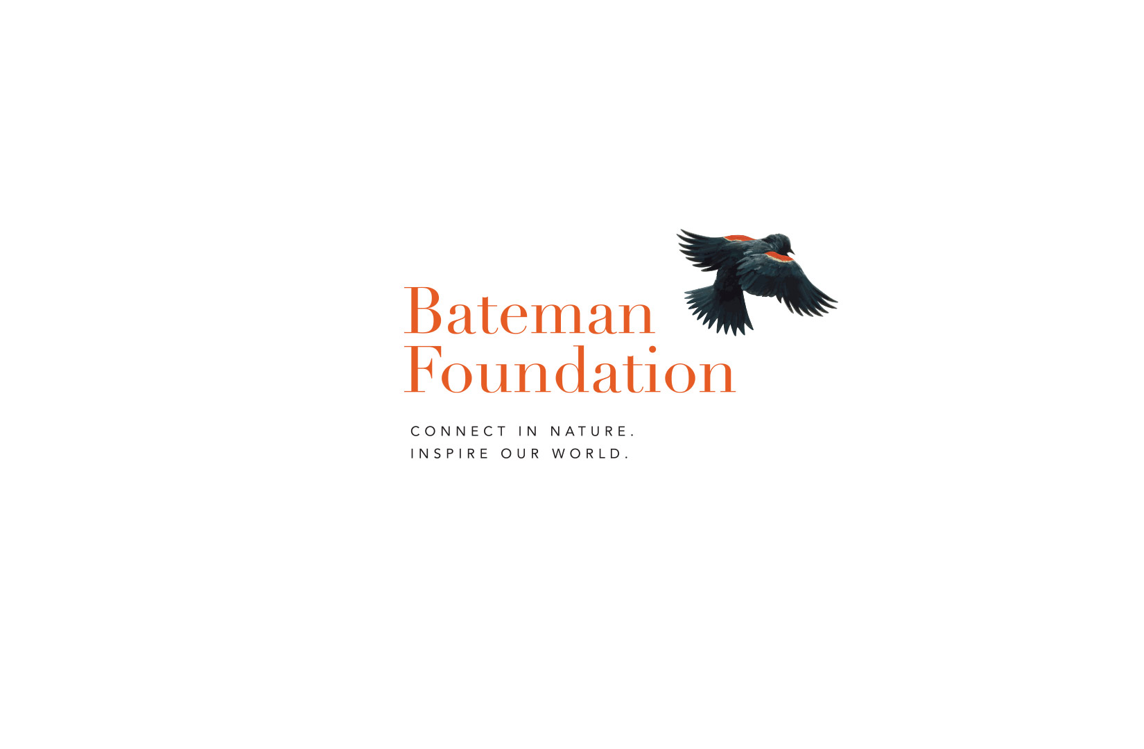 Bateman Foundation - Leap XD