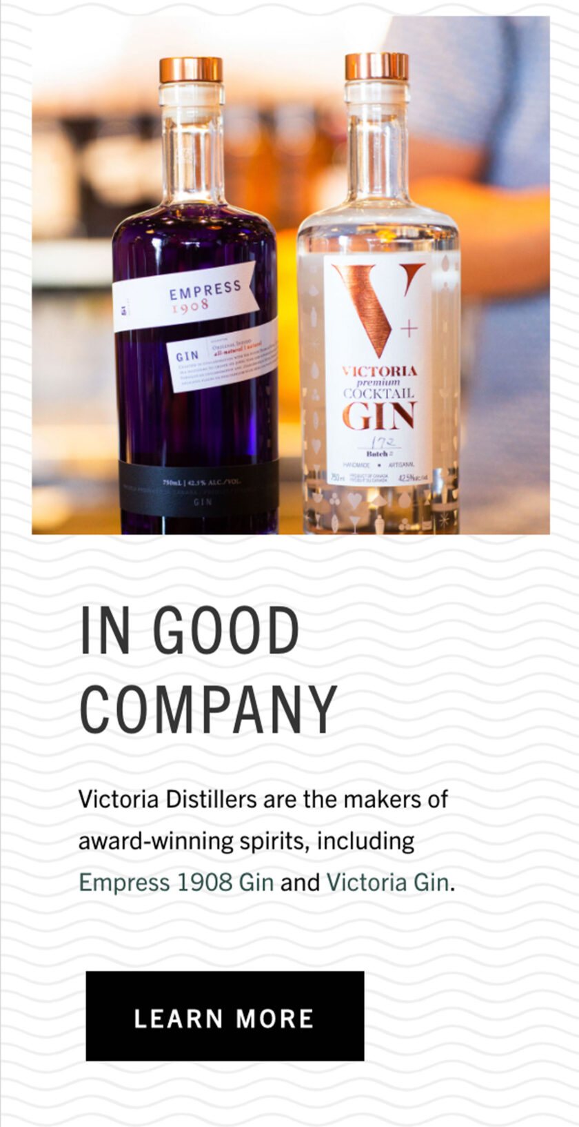 Leap XD | Web. Branding. Design. | Strait and Narrow