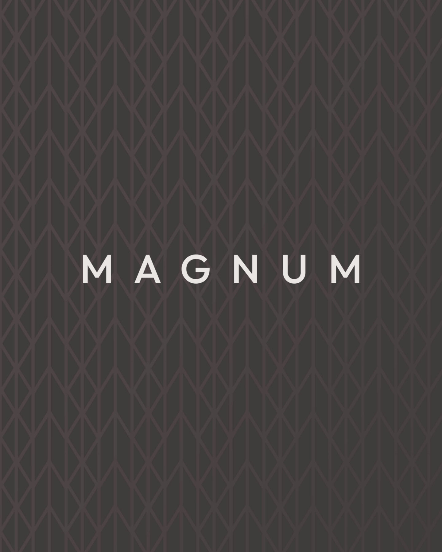 Leap XD | Web. Branding. Design. | Magnum Projects