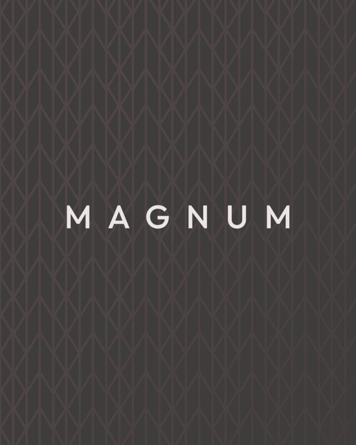 Leap XD | Web. Branding. Design. | Magnum Projects