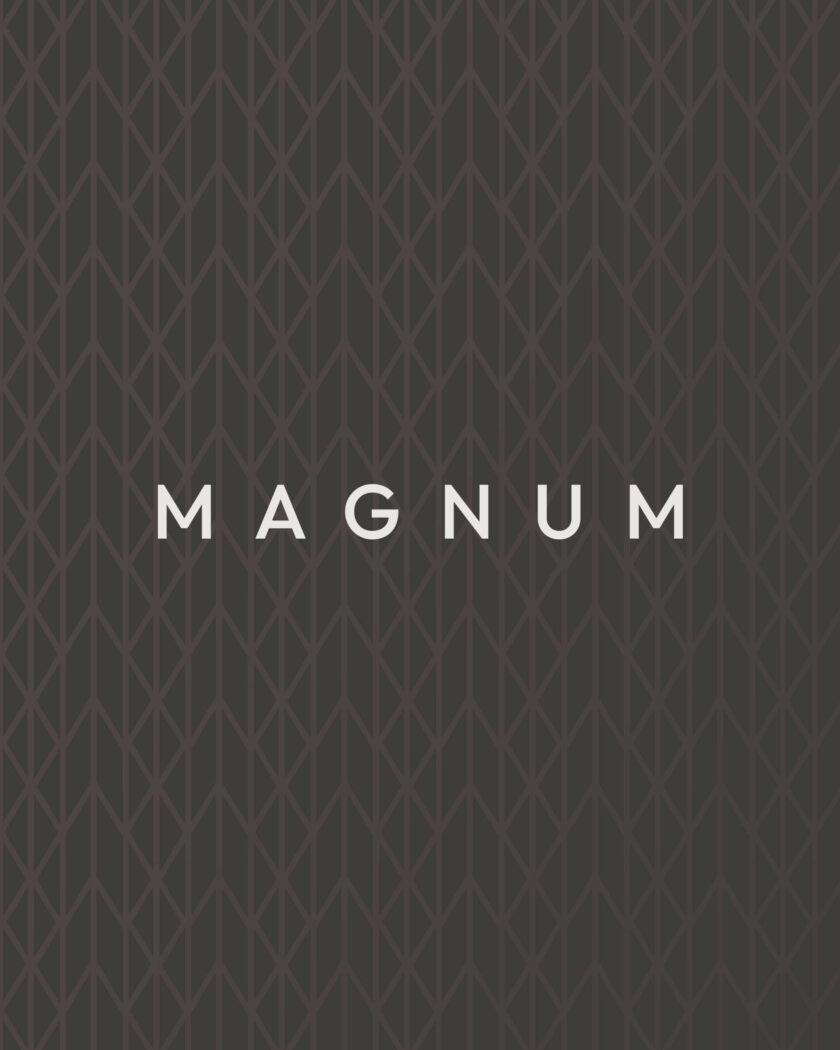 Leap XD | Web. Branding. Design. | Magnum Projects