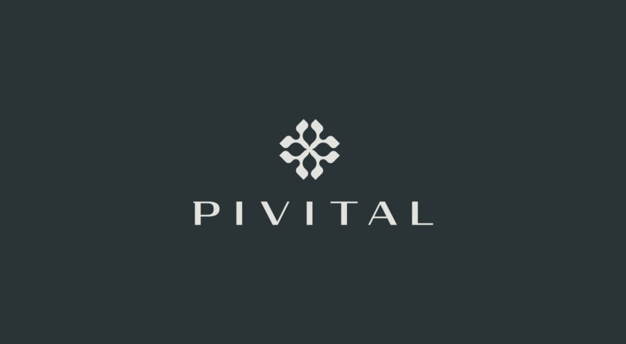 Pivital - Leap XD